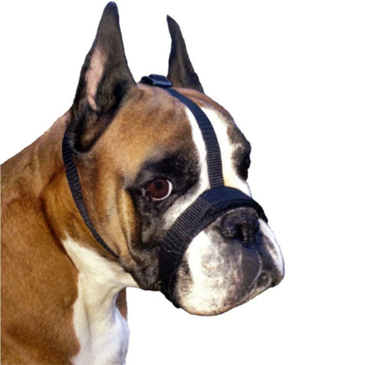 Botnita caini brahicefalici XS, Grande Finale: 58,89 RON - PetMart PetShop