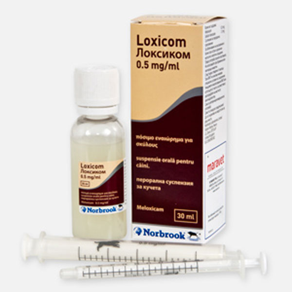 Loxicom 0.5mg x 30ml: 77,92 RON - PetMart PetShop